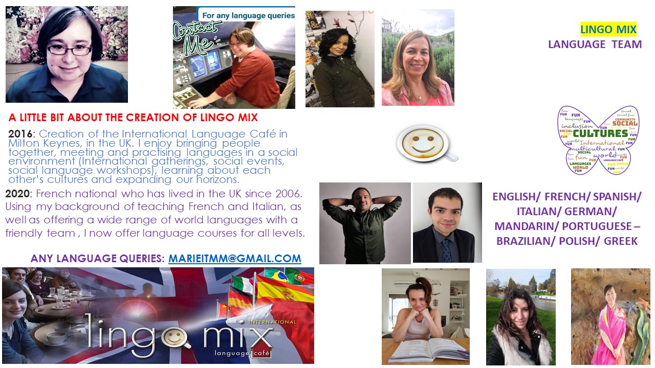 LINGO MIX – INTERNATIONAL LANGUAGE SCHOOL